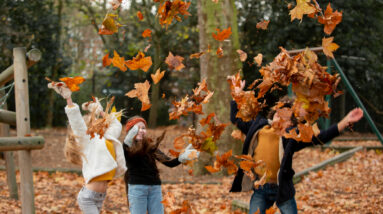 Experience Autumn's Magic: Top 10 Fall Festivals in Pennsylvania ...